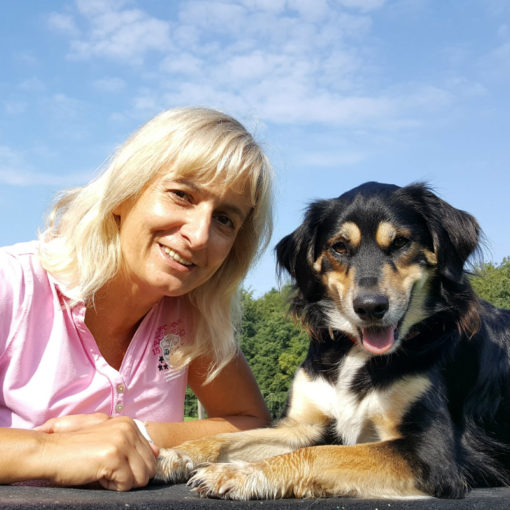 Treibball - kreatives Longieren - und neue Hundetricks lernen - Anja Jakob