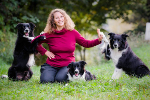 Treibball - kreatives Longieren - und neue Hundetricks lernen - Anja Jakob